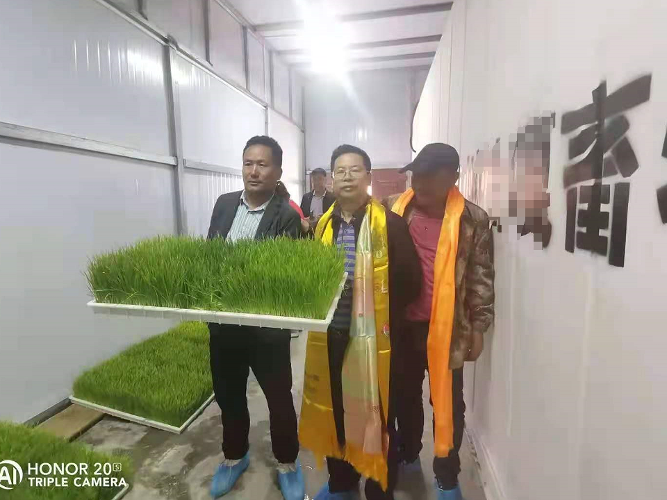 Hydroponic Fodder Container Farming - Lyine