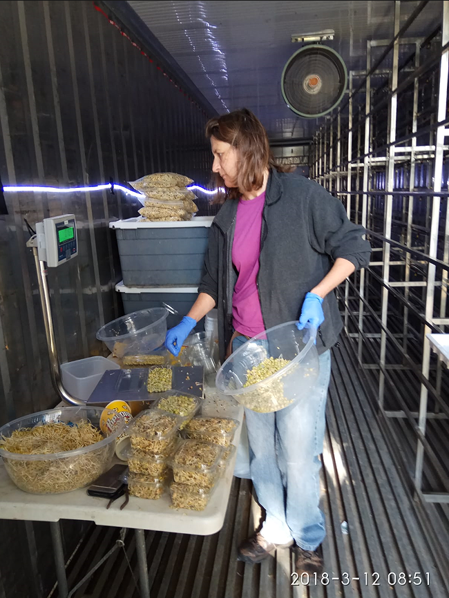 Hydroponic Fodder Container Farming - Lyine