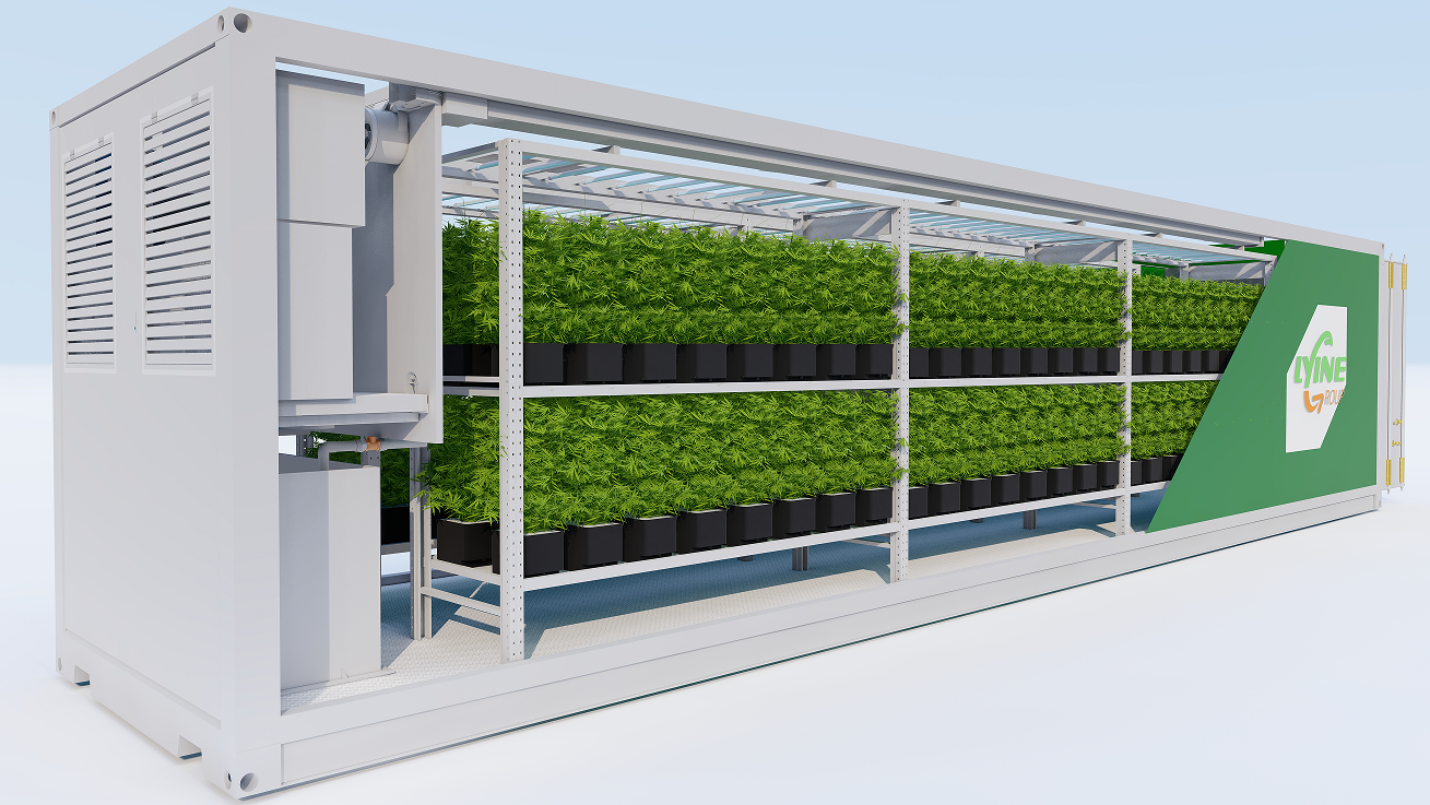 Hydroponics Herb Container Farming - Lyine