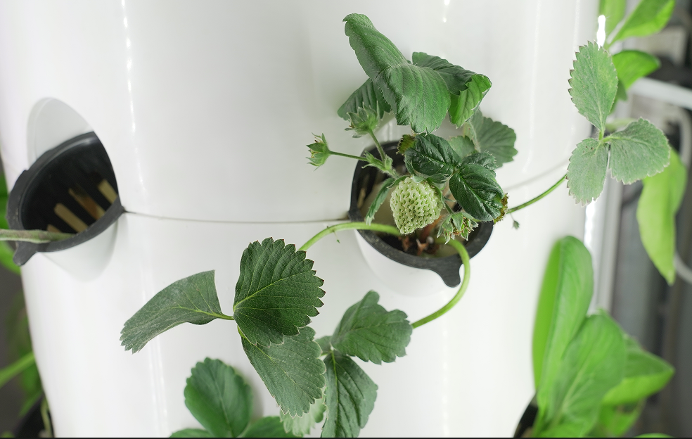 Lyine Hydroponics Rotating Tower Growing Container Farm System1 | Lyine