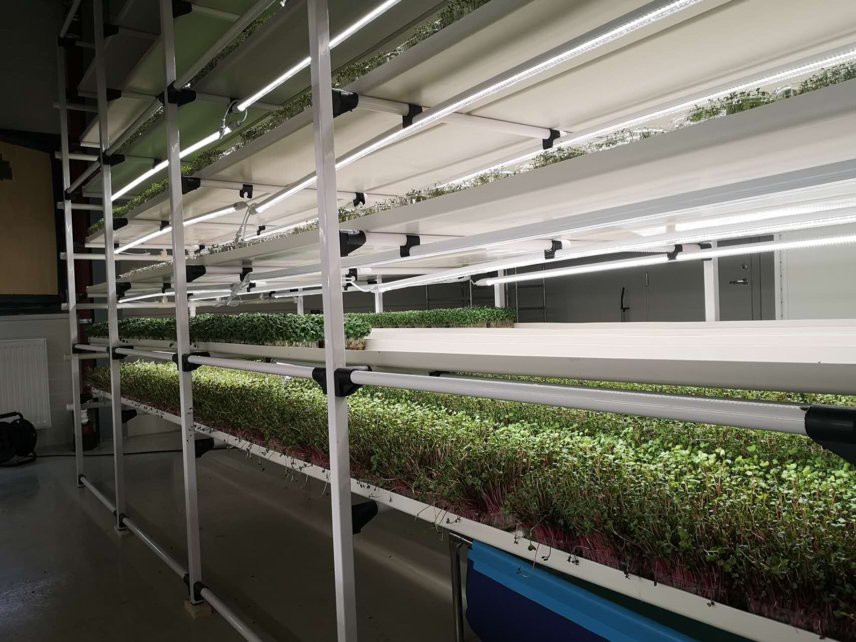 Vertical Microgreens Farming Commercial PVC Hydroponic Rack EU | Lyine