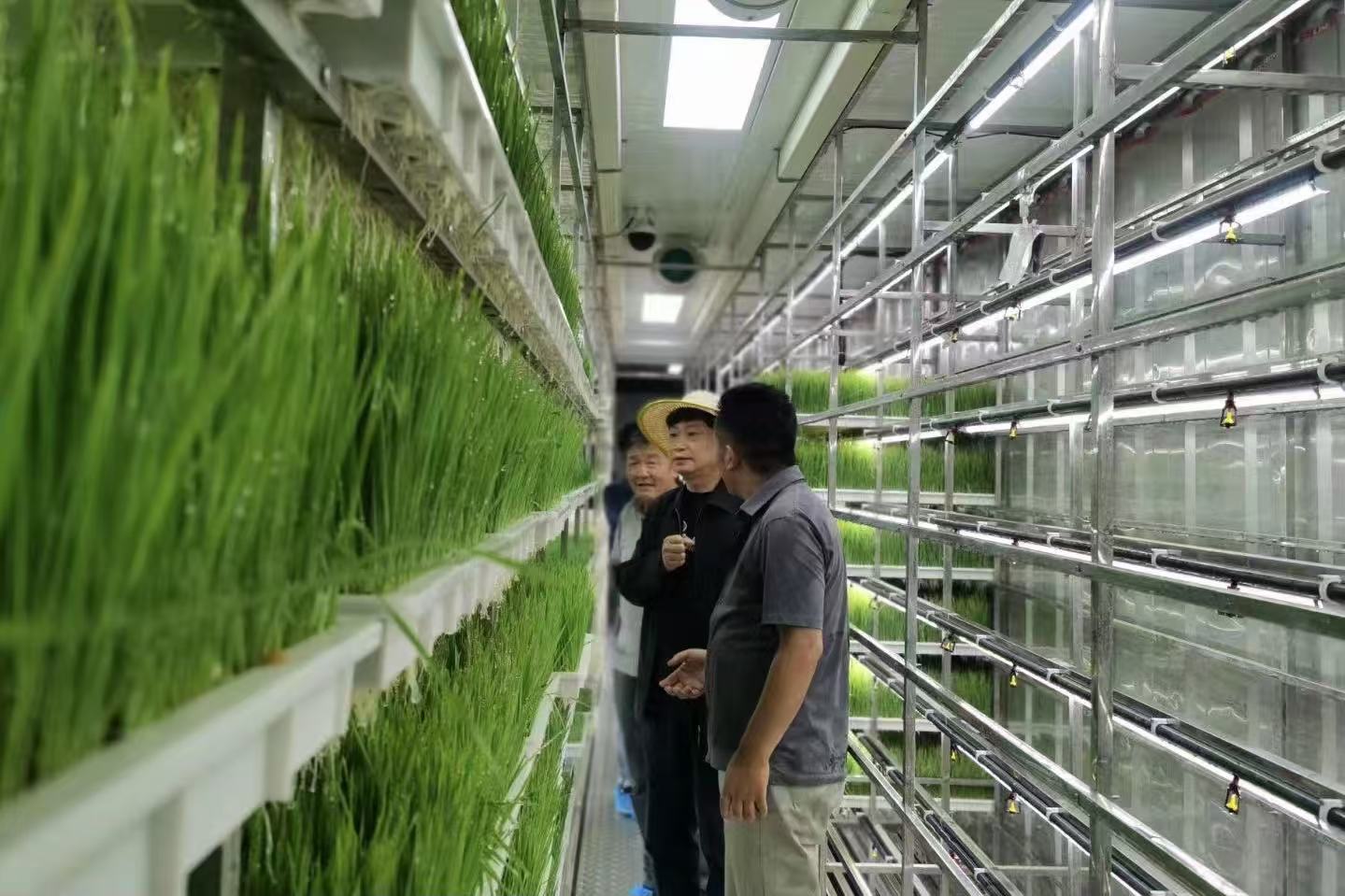 Jak założyć farmę kontenerową: Przewodnik komercyjny na rok 2026 ...