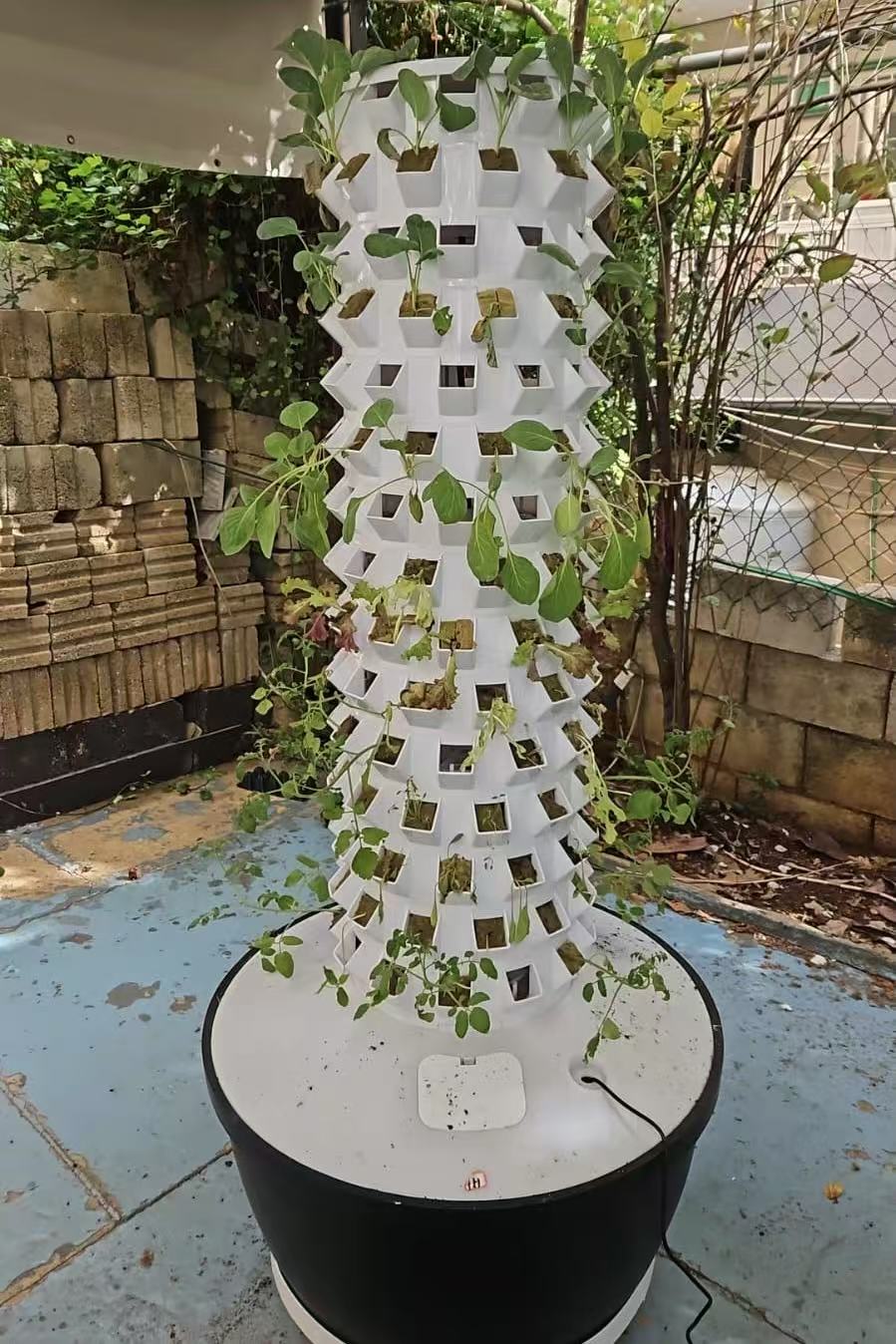 Hydroponic Tower System Farming for U.S. Commercial Grower | Lyine