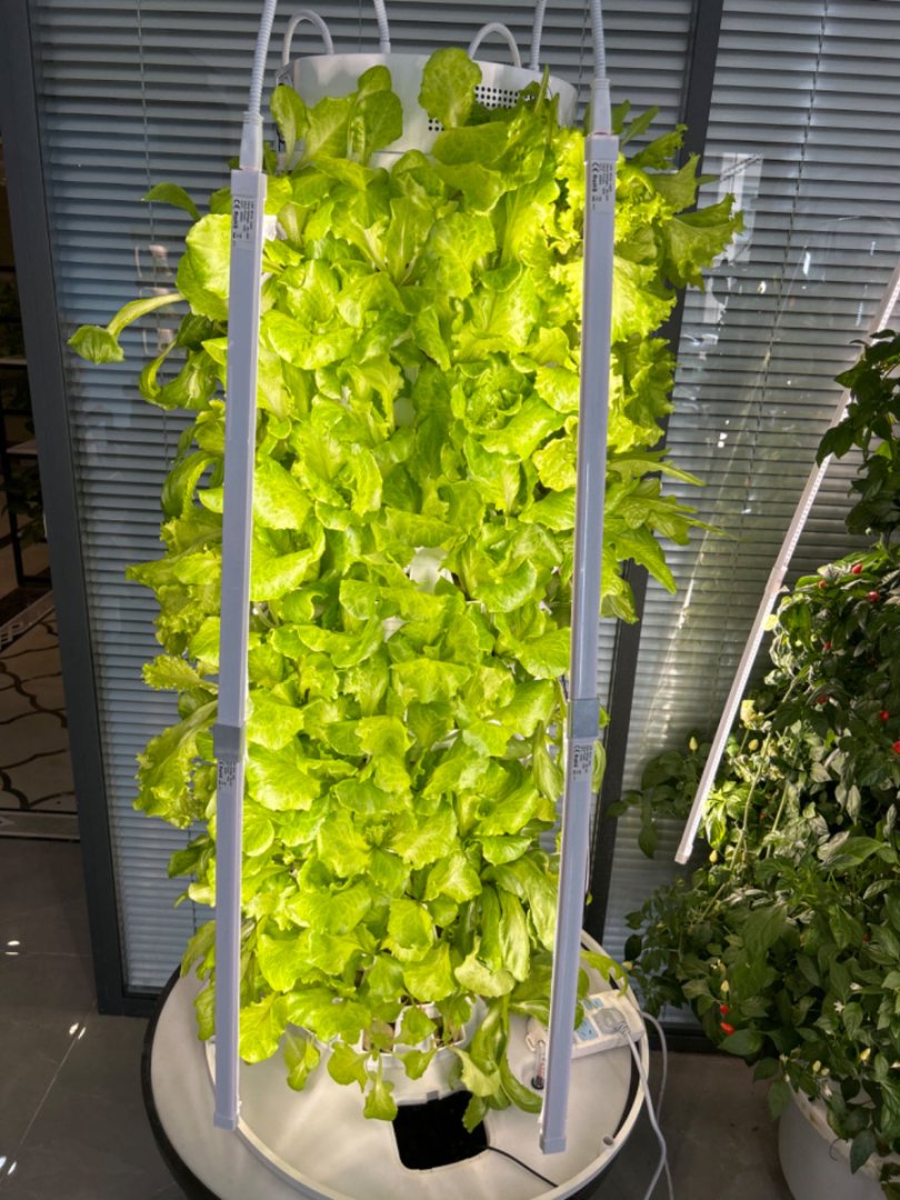 Vertical Hydroponic Tower System for High-density Cultivation in Côte D ...