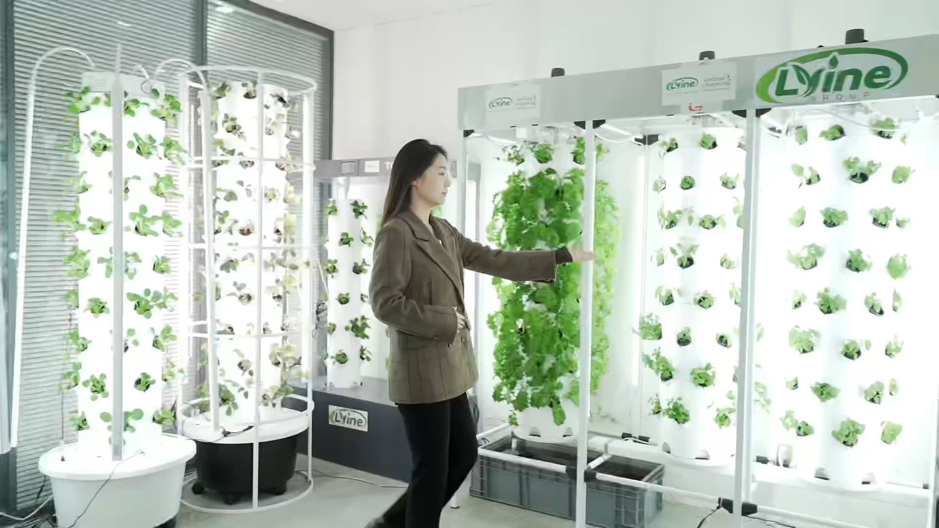 Lyine Group Hydroponic Systems: Sustainable, Smart, and Innovative ...