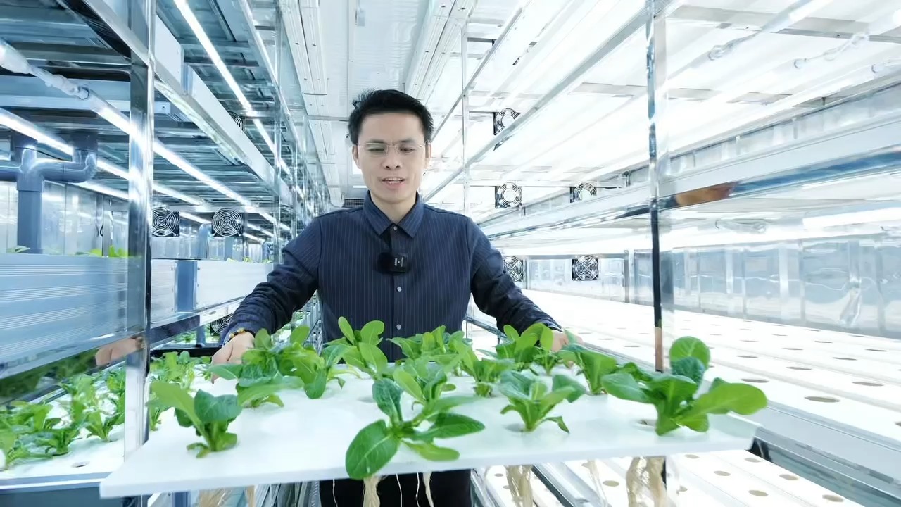 Mobile Hydroponic Container Farm | Vertical Farming with NFT & Flood ...