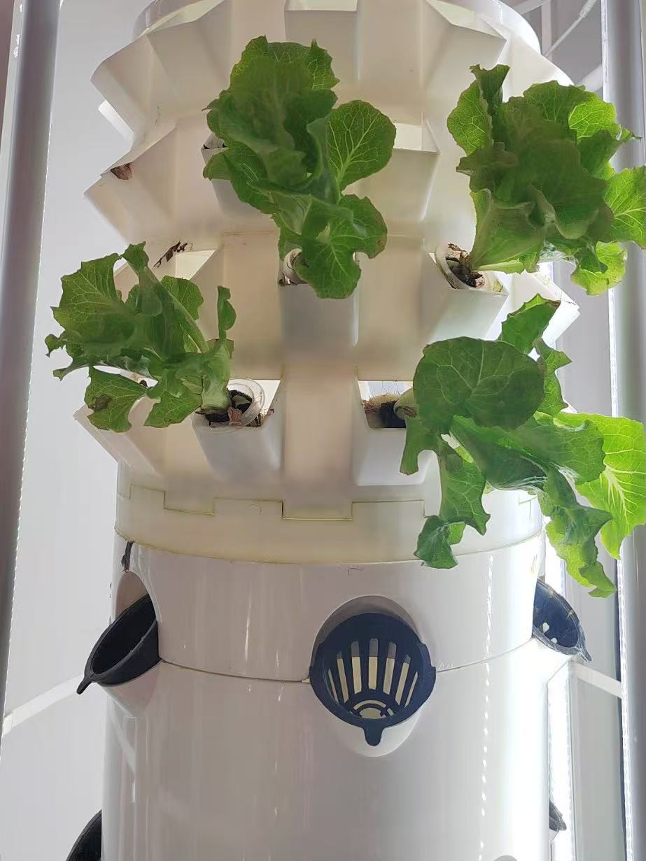 Canada Indoor 6P8 and 12P4 Hydroponic Tower for Flexible Vertical ...