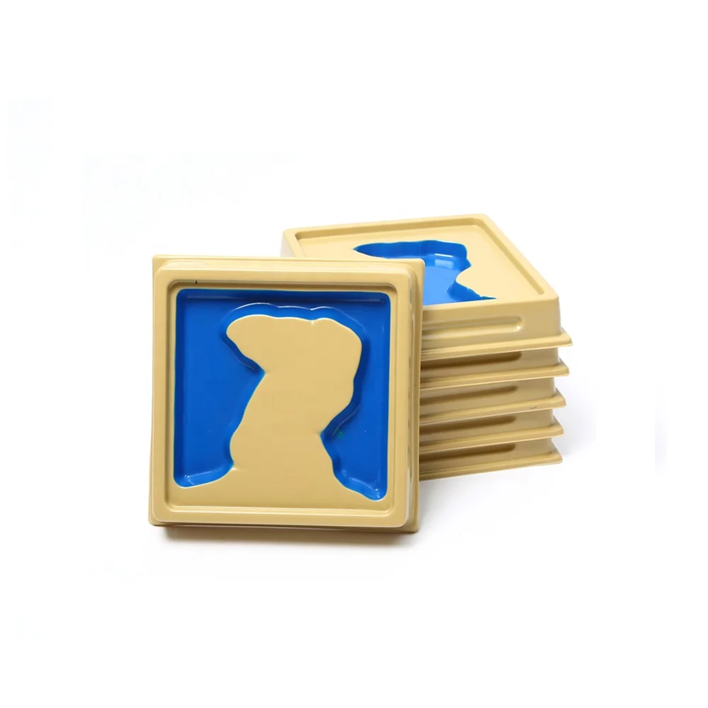 Montessori Land and Water Form Tray for Kindergarten Kids | LEADERJOY