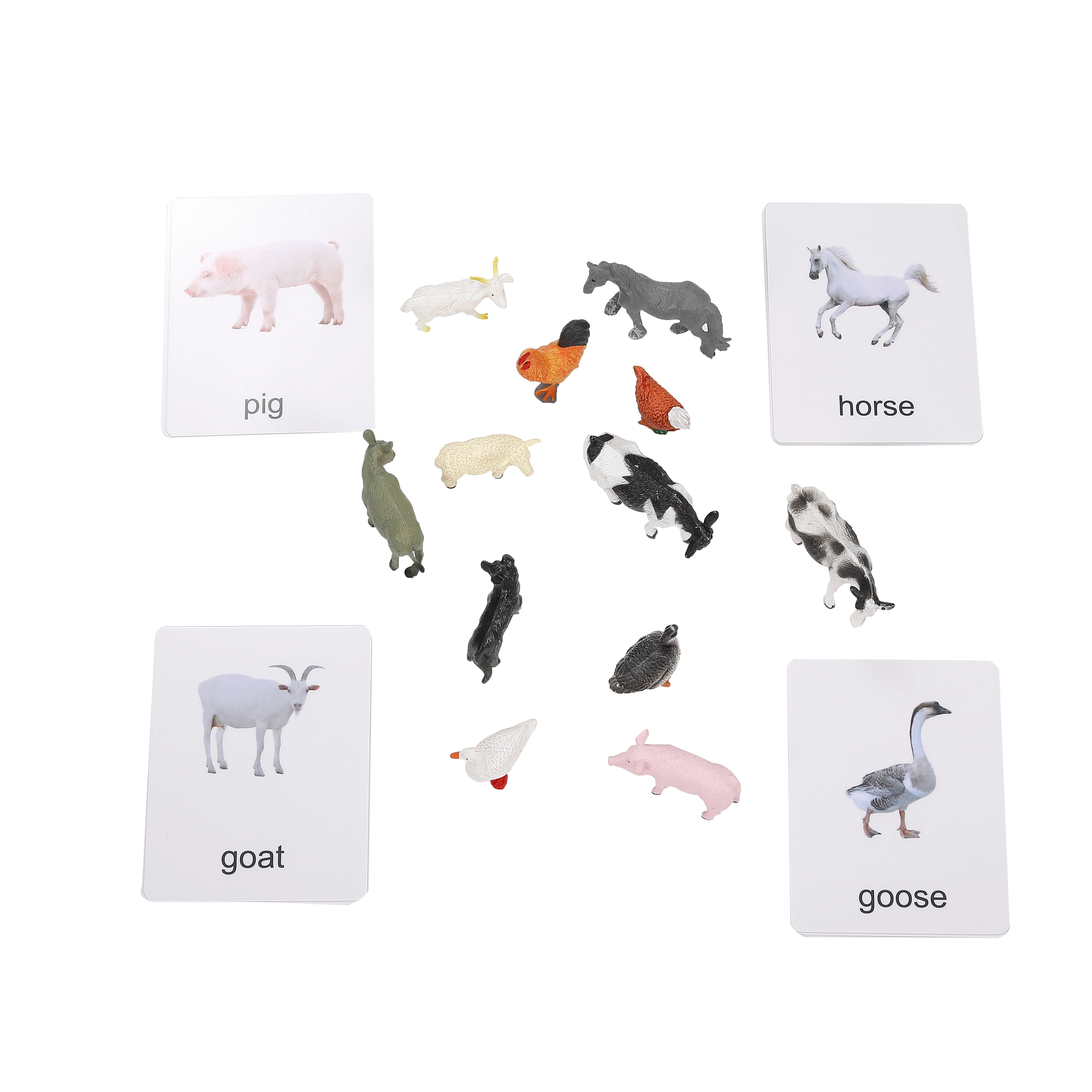 Montessori Language Animal Object Cards for Educational Toys OEM & ODM ...