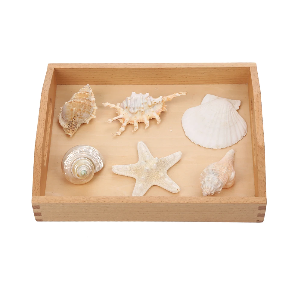 Montessori Baby Educational Toys with Real Objects for Language ...