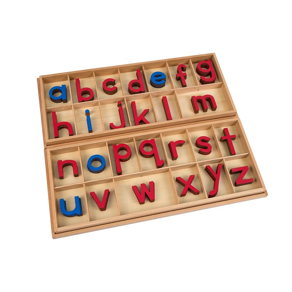 Large Movable Alphabet for Kids - Montessori Educational Wood Toy ...