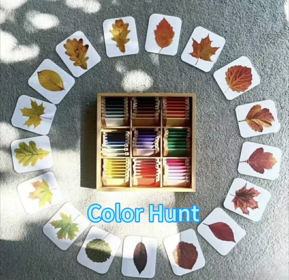 Búsqueda de colores: ¡Una aventura Montessori en la naturaleza! | LEADERJOY
