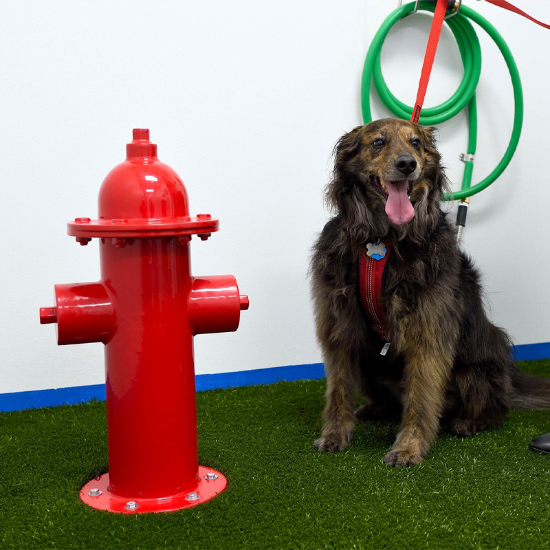 Buy Low Price Dog Park Products Dog Park Fire Hydrant Manufacturers ...