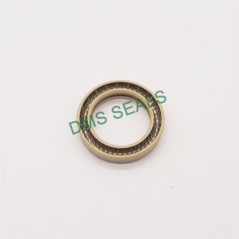 Polyphenyl Ester Ekonol Phb Filled Ptfe Spring Energized Seal | Dms