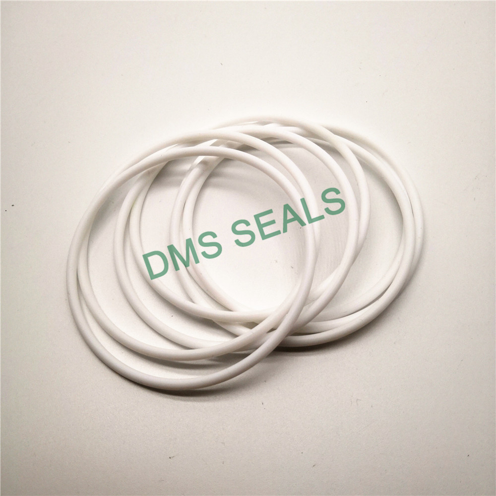 What to Do If It Is Incomplete O Ring Manufacturers Delivery? - DMS Seals