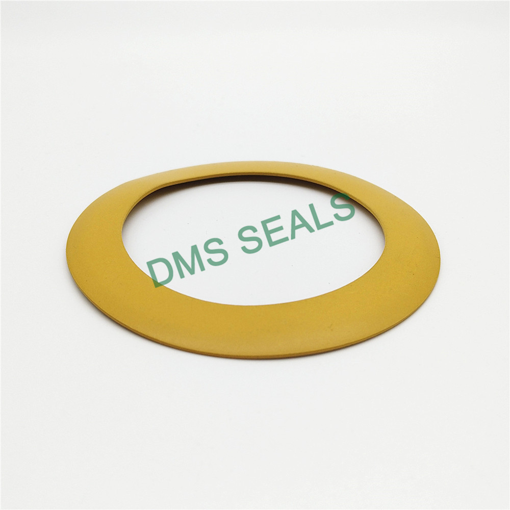 Elastomeric Gasket Factory, Ptfe Gasket Material | Dms Seal | Dms