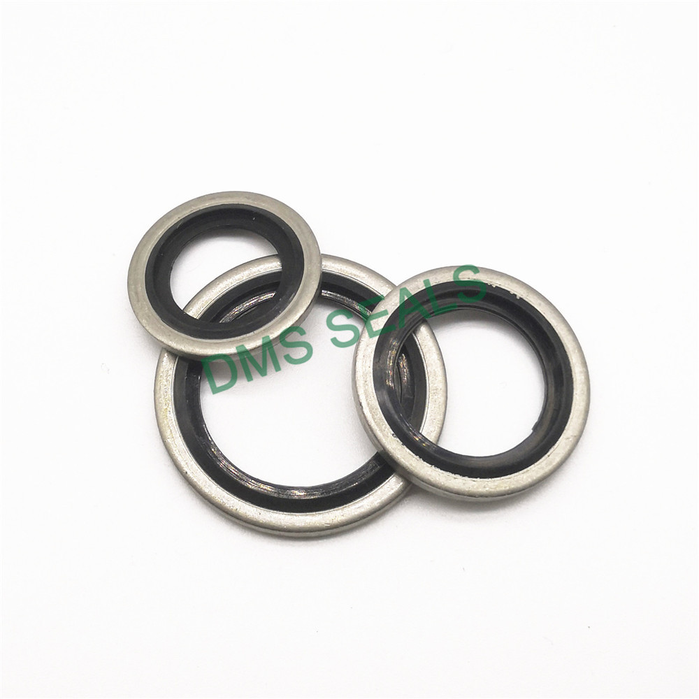 Best Dowty Bonded Seal Washer Company for Threaded Pipe Fittings and ...