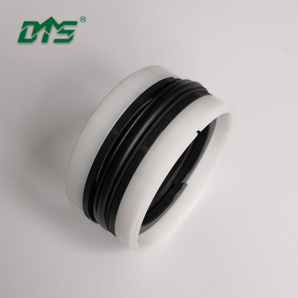 Guide Element Piston Seal for Hydraulic Cylinder Sealing TPM/DBM-DMS ...