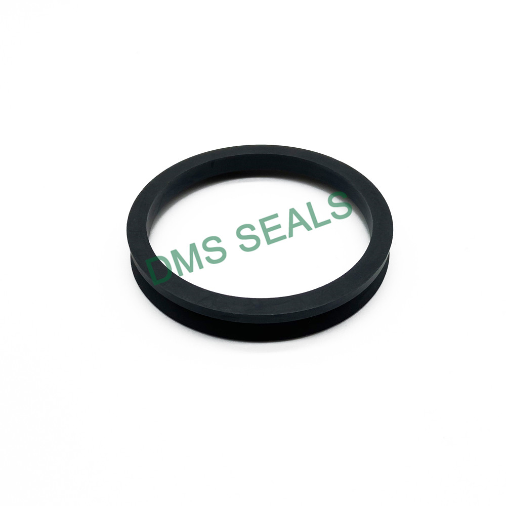 Low Friction and Dustproof Va Water Seal | Dms Seal Manufacturer