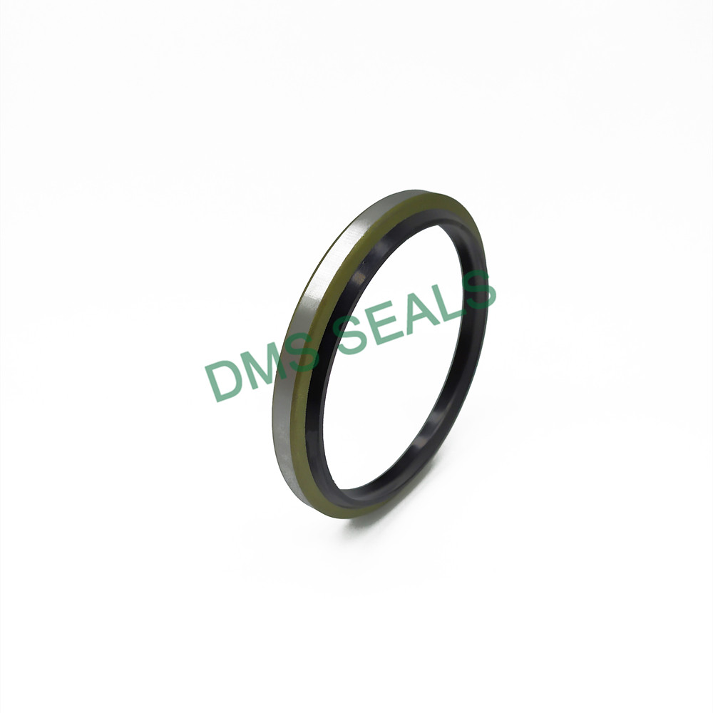 Factory Direct Dust Seals Dkb Steel Dust Wiper Seal Scraper Seal | Dms ...