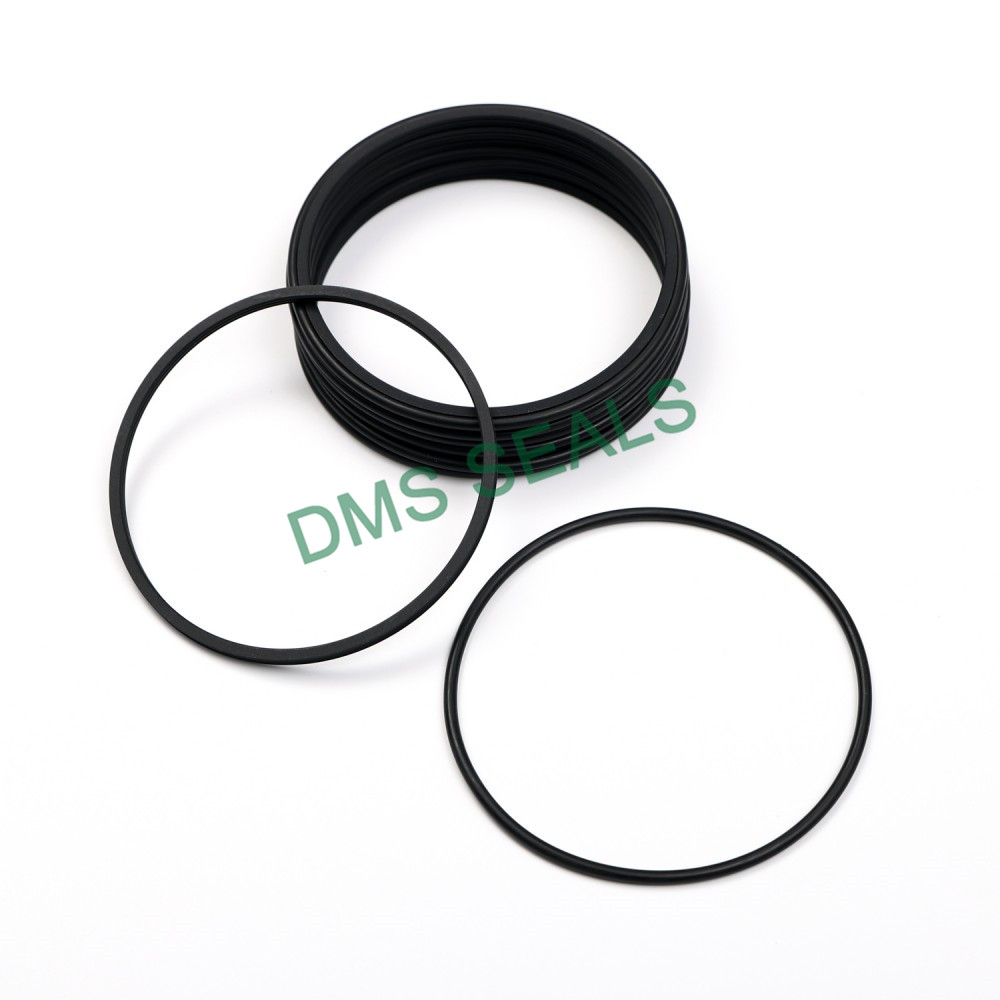 Rotary Square Ring for Shaft Grs Seal Rotating Glyd Ring | Dms Seals