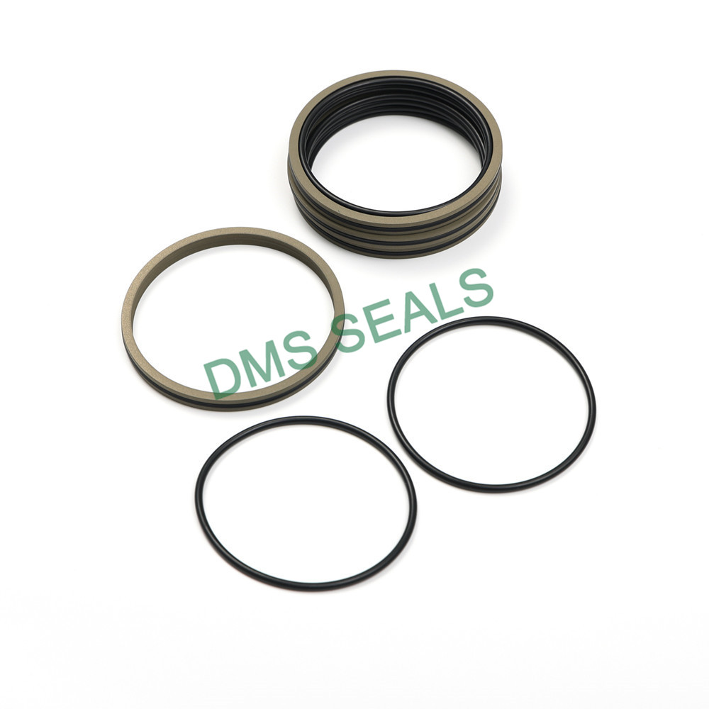 Piston Compressor Seal Daq2 Star Double O-ring Accumulator Seal | Dms Seals
