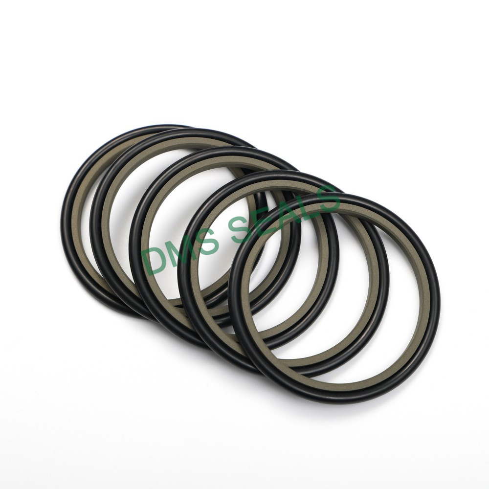 Piston Rod Seal Square Ring for Shaft Gsi Reverse Glyd Ring | Dms Seals