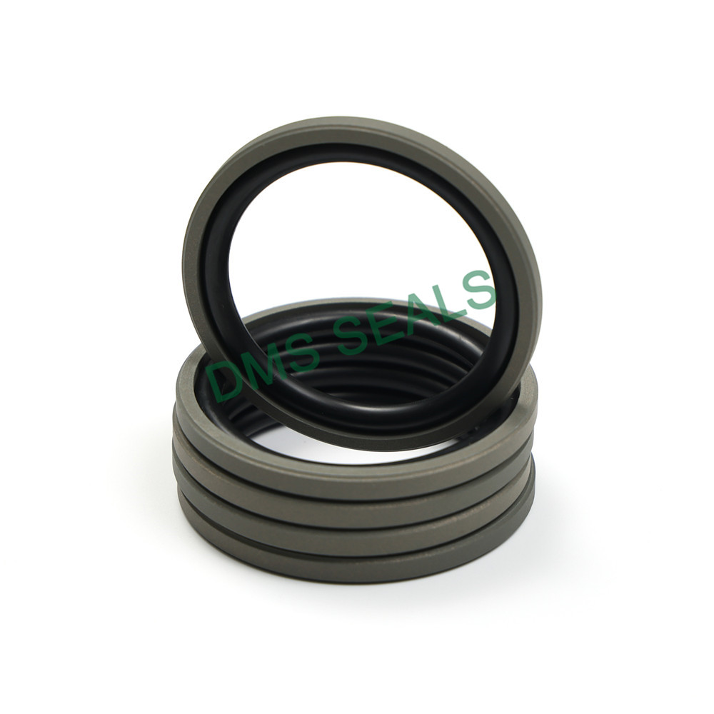 Bronze Ptfe Excluder Double Acting Scraper Seal Dpt | Dms Seals