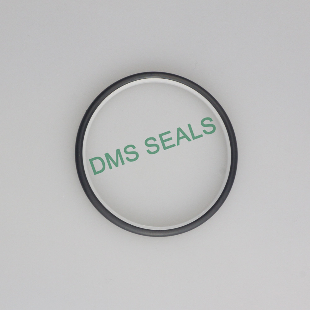 Slipper Seal Spnc Special-shaped Ring Double Triangle Seal | Dms Seals