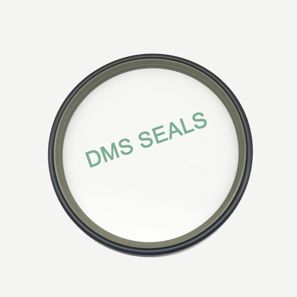 Excavator Seal Excavator Hydraulic Rod&piston Seal Dpt1 | Dms Seals