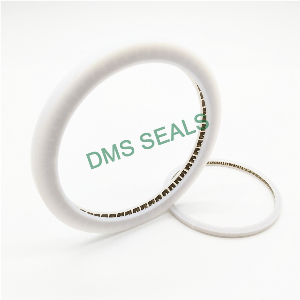What Properties Are Needed in Spring Seals Raw Materials? - DMS Seals
