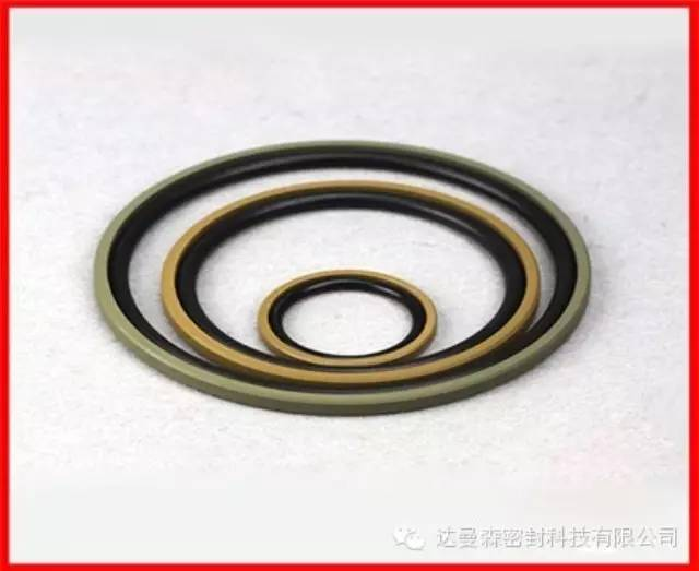 Rotary Dynamic Seal Leakage Elimination | Dms Seals