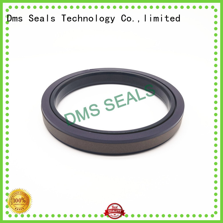 Piston Seals ,hydraulic Ram Seals | DMS Seal Manufacturer