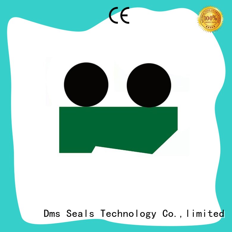 Rod Wiper Seals | Scraper Seals | DMS Seal Manufacturer