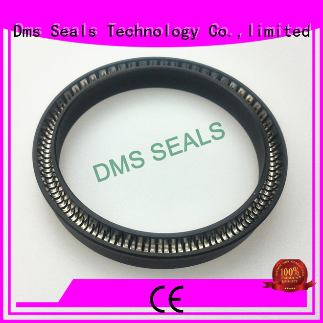 High-quality Spring Loaded Seal for Business for Reciprocating Piston ...