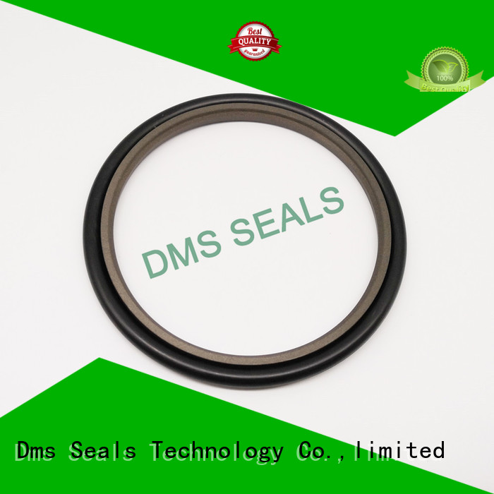 Best Hydraulic Cylinder Piston O Ring | DMS Seal Manufacturer