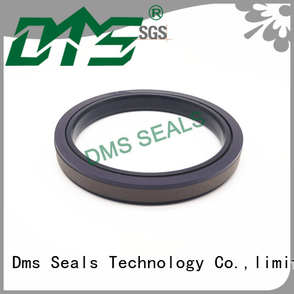 Ptfe Mechanical Seal Pump Price O Ring | DMS Seal Manufacturer