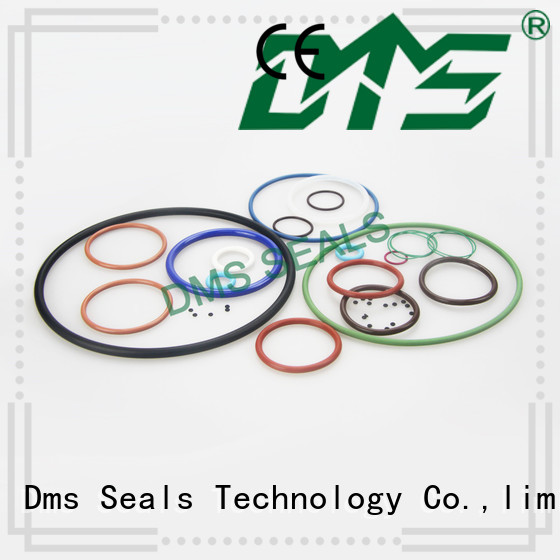 Polyurethane 1.25 Inch O Ring Factory for Static Sealing | DMS Seal ...