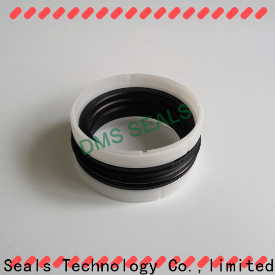 Ptfe Split Oil Seal Manufacturer Wholesale for Larger Piston Clearance | DMS Seals