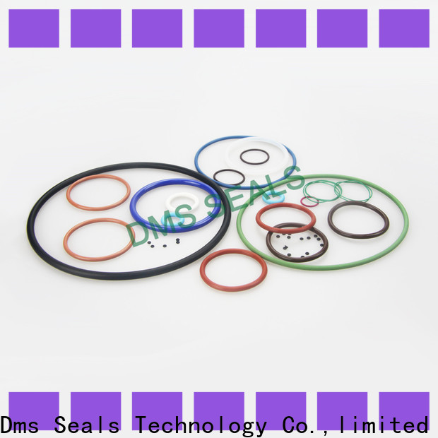 Best Colored Silicone O Rings Manufacturers for Static Sealing | DMS Seals