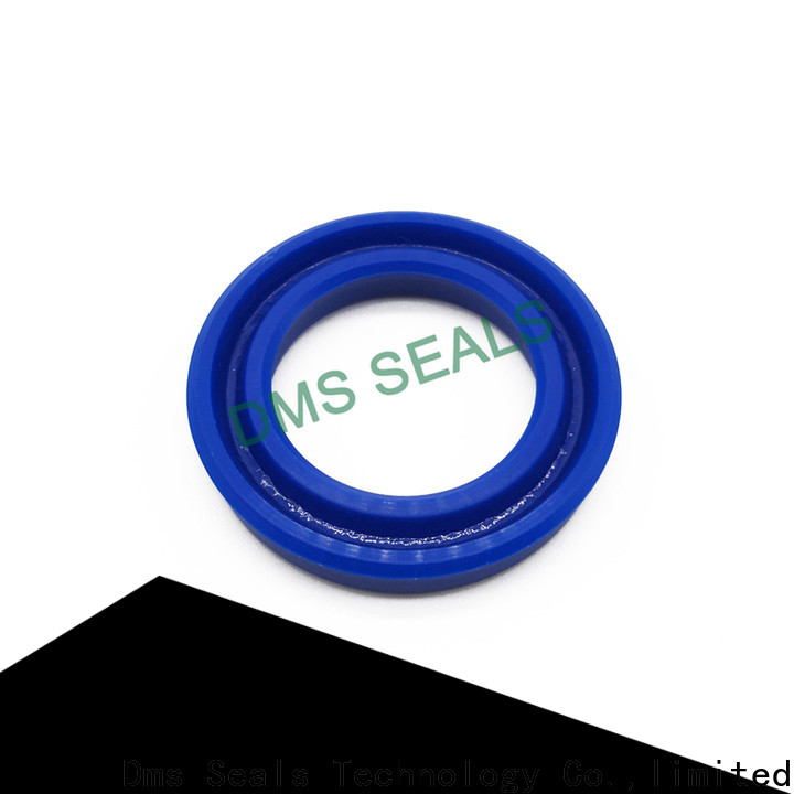 Hot Sale Mechanical Shaft Seal Suppliers Glyd Ring for Larger Piston Clearance | DMS Seals