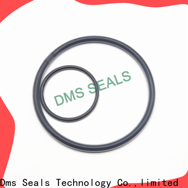 Best Square Section O Ring Sizes Factory for Sale | DMS Seals