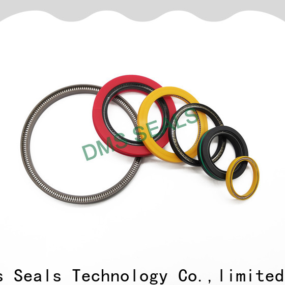 Custom Made Spring Energized Ptfe Seal Cost for Choke Lines | DMS Seals