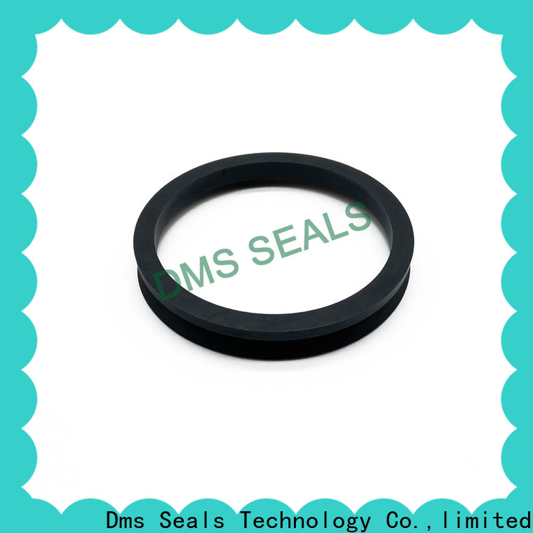 Latest Hydraulic Seals Pdf for Business to High and Low Speed | DMS Seals