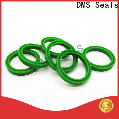 Custom Mechanical Engineering Seal Cost for Larger Piston Clearance ...