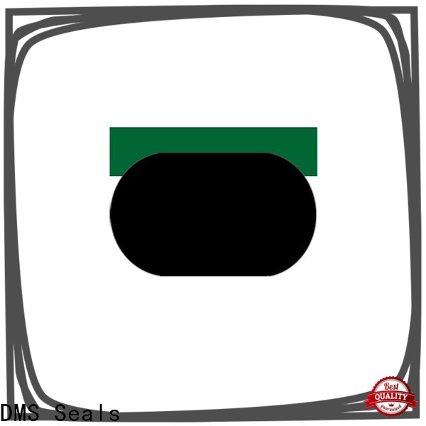 Hydraulic Rod Wipers Manufacturer for Light and Medium Hydraulic ...