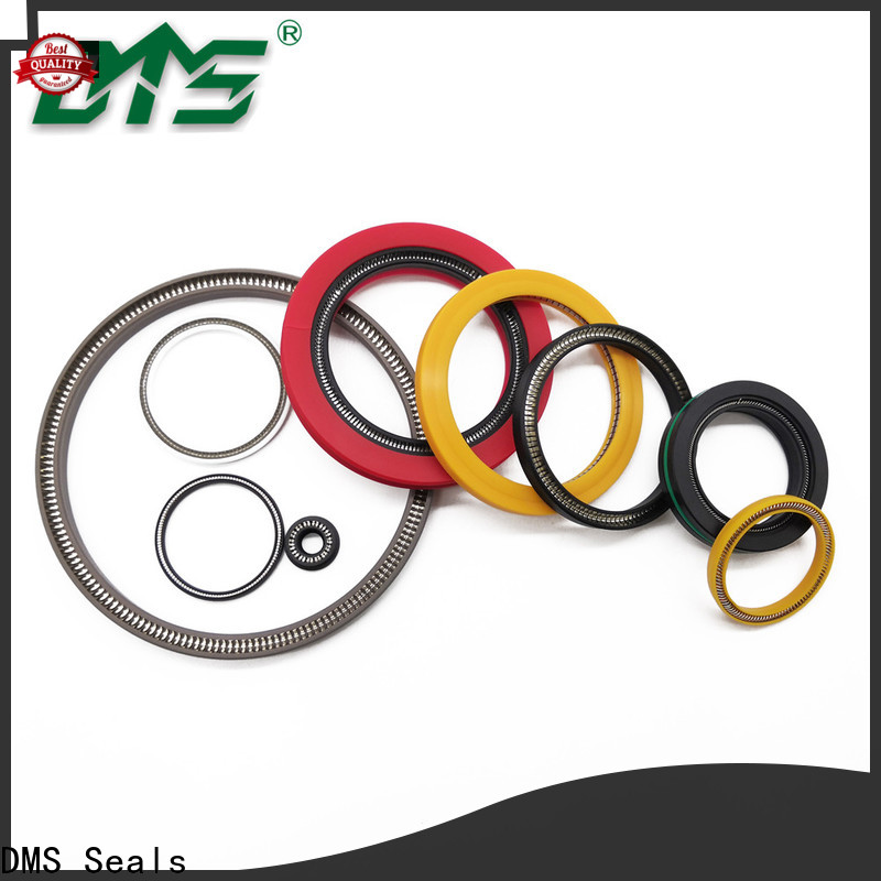 High-quality Spring Energized Seals Vendor for Choke Lines | DMS Seals