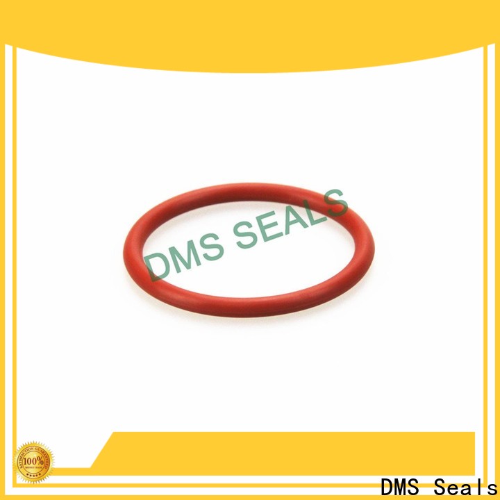 High-quality O Ring Kit Manufacturer Vendor for Static Sealing | DMS Seals