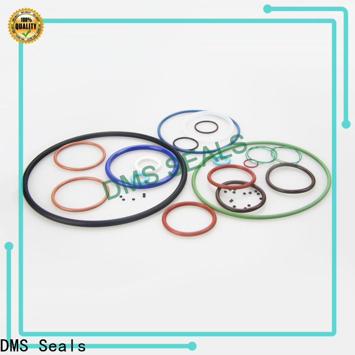 High-quality 7 Inch O Ring Company for Sale | DMS Seals