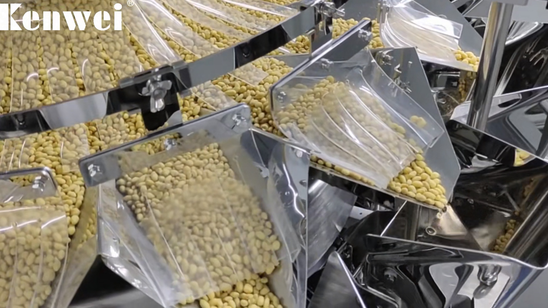 What Is The Small Packaging Process Of Beans? | Kenwei